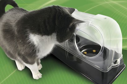 Felines Only - the Purrrfect Cat Dish - Veterinarian Designed Cat Feeding Bowl that Keeps Dogs Out of the Cat Food