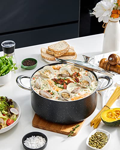 BEZIA Cooking Pot with Lid, 6 Quart Nonstick Stock Pot/Stockpot with Lid, Non Stick 6 QT Large Capacity Induction Pot for Soup, Broth, Chili, Stew - All Stove Compatible