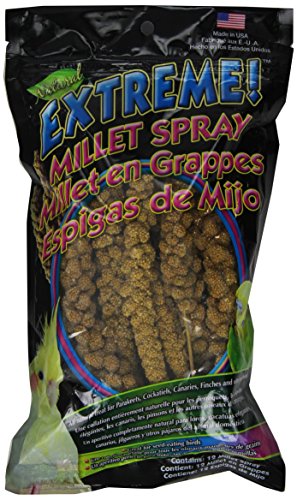 F.M.Brown'S 42398 Extreme Millet Spray, 12-Pack