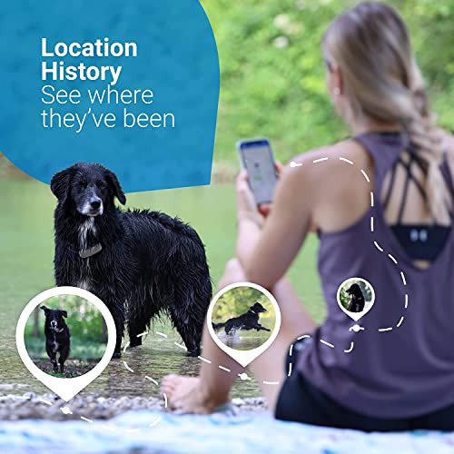 tractive GPS Pet Tracker for Dogs - Waterproof, GPS Location & Smart Activity Tracker, Unlimited Range, Works with Any Collar (Coffee), Beige, 3 Piece Set