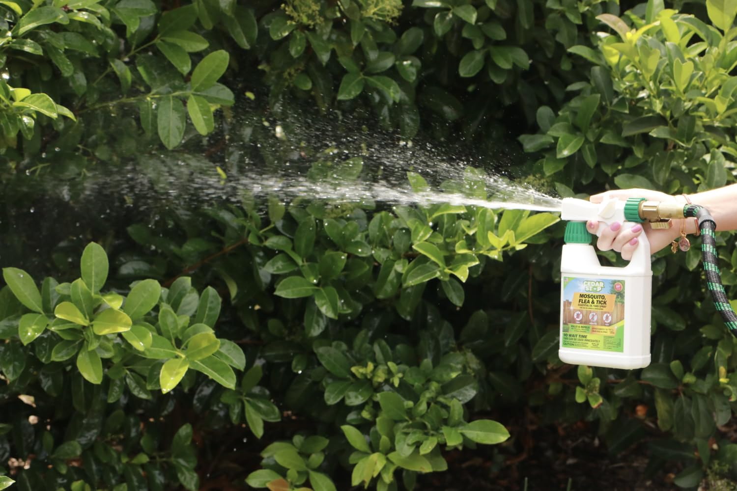 CedarStop 32 Ounce Essential Oil Yard Spray - Plant Based Flea, Tick and Mosquito Repellent Pest Control Spray Treatment and Insect Killer - Safe Around Kids, Pets, and Plants