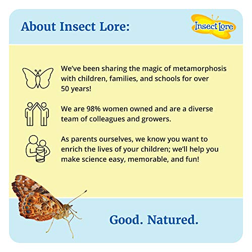 Butterfly Garden: Original Habitat and Live Cup of Caterpillars with STEM Butterfly Journal β Life Science & STEM Education β Butterfly Science Kit