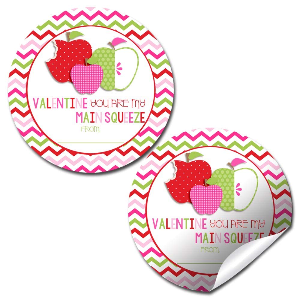Main Squeeze Apple-Themed Valentine Party Favor Sticker Labels, 40 2" Party Circle Stickers by AmandaCreation, Great for Classroom Valentines, Envelope Seals, Gifts & Treats