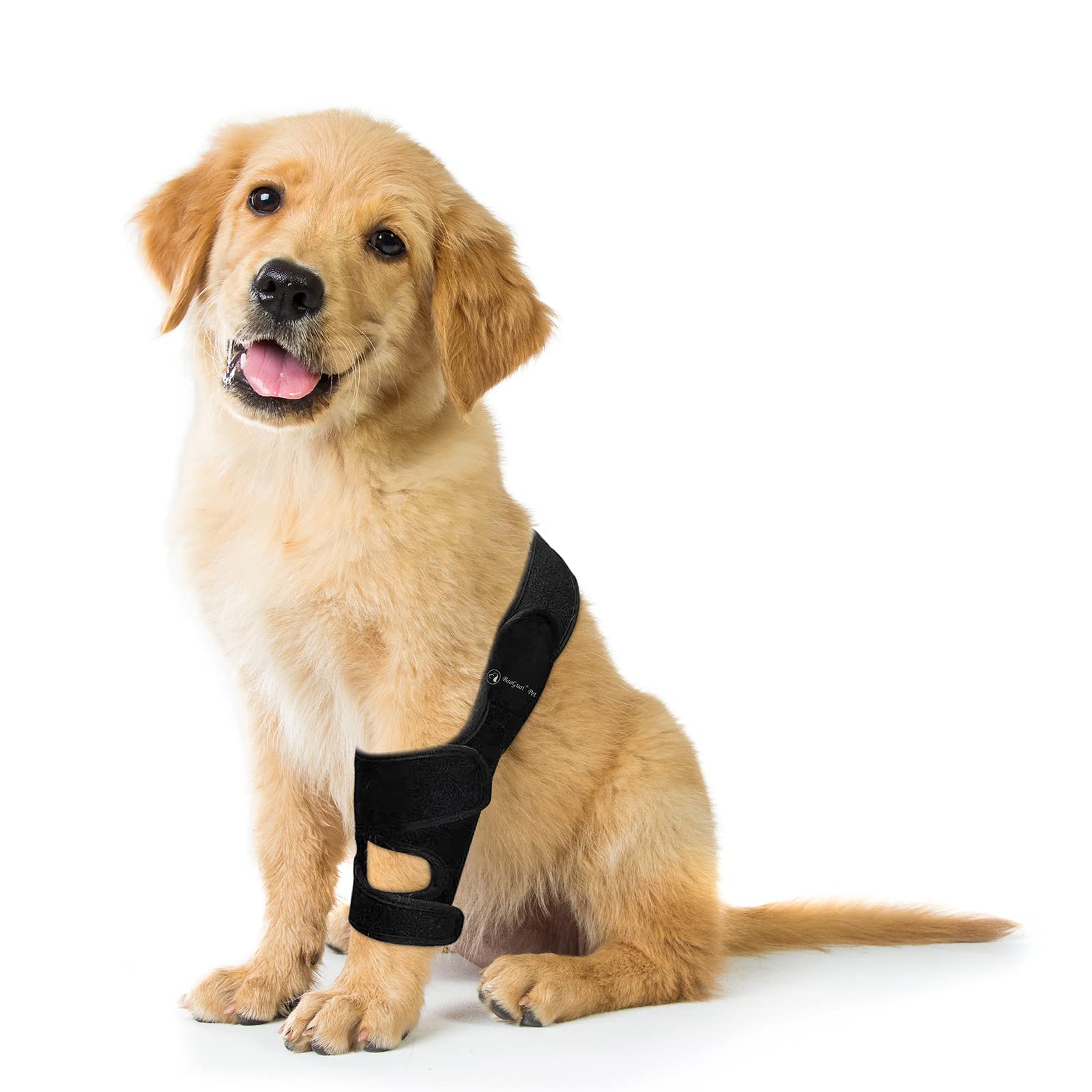 BaoGuai Knee Brace for Dogs ACL with Side Stabilizers,Knee Cap Dislocation, Arthritis - Keeps The Joint Warm and Stable - Extra Support - Reduces Pain and Inflammation - 7Sizes(L)