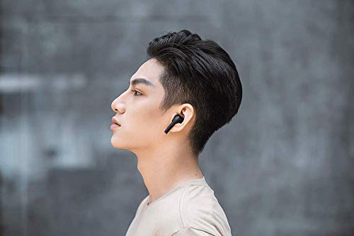 True Wireless Earbuds - Earphones with Dual Mic's - Type C Charging - 5.0 Bluetooth Headphones - Stereo Wireless Earpods - TWS from Defunc