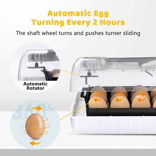 Apdoe Egg Incubator Clear View, Automatic Egg Turner, Temperature Humidity Control, Egg Candler, Poultry Egg Incubator for Hatching 12-15 Chicken Eggs, 35 Quail Eggs, 9 Duck Eggs, Turkey Goose Birds