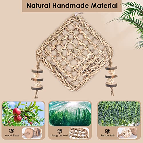 Bissap Seagrass Protector Mat with Treats, Rabbit Chews and Play for Bunny Chinchilla Guinea Pigs or Other Rodent Pets Hanging Chewing Toys
