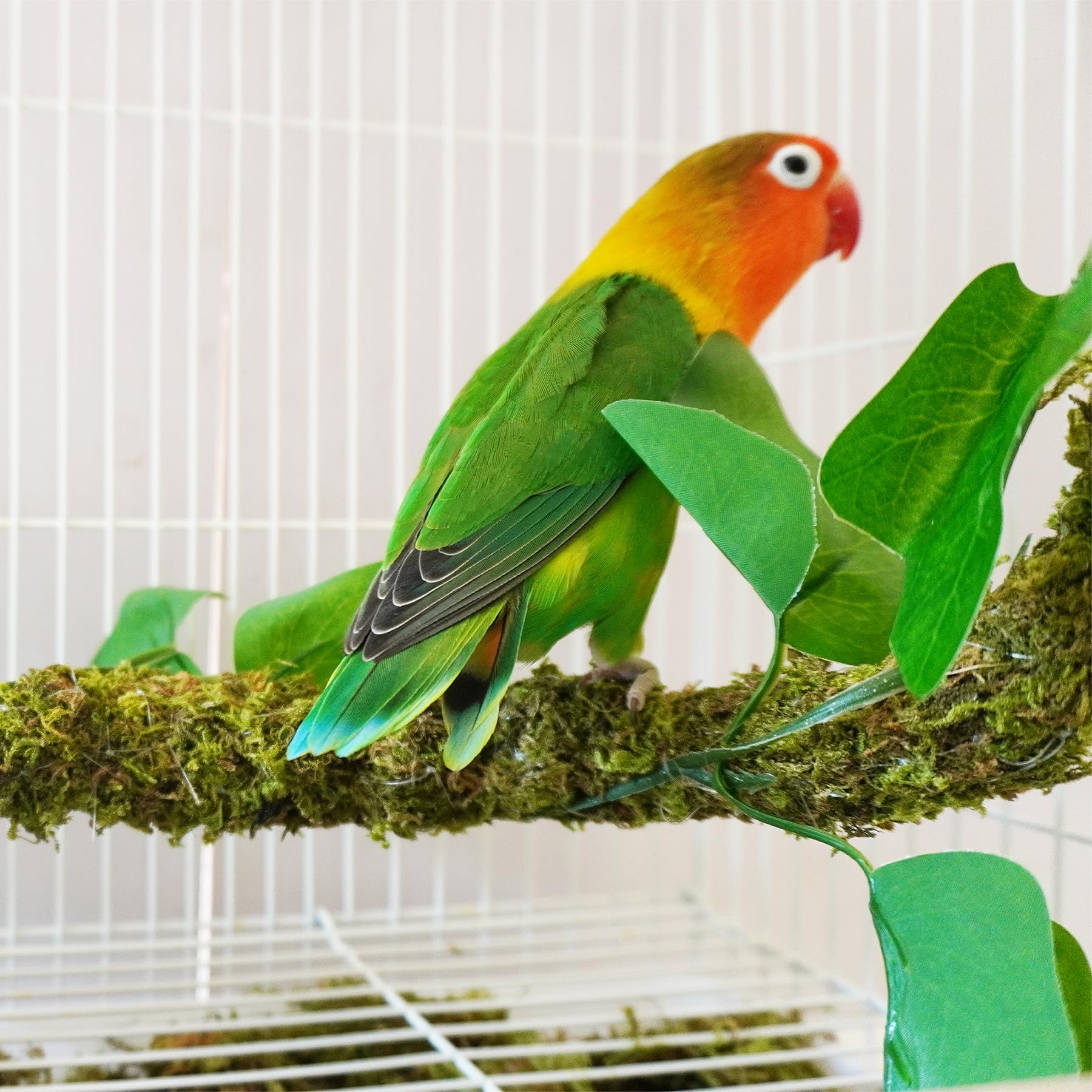 Begeterday 25 Inch Bendable Bird Perches, Bird Toys, Ideal Bird Cage Accessories