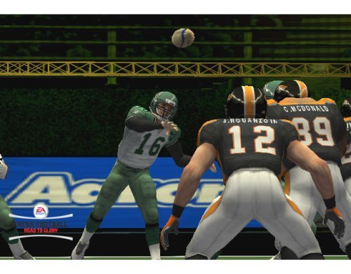 Arena Football: Road to Glory (Renewed)