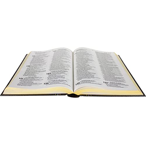 Bíblia Sagrada Almeida Revista e Atualizada: Almeida Revista e Atualizada (ARA)