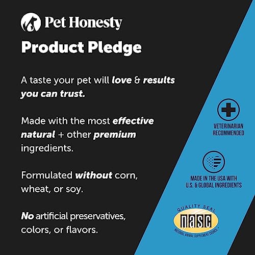 Pet Honesty Chlorhexidine Shampoo - Ketoconazole & Aloe for Dogs & Cats - Helps Itching, Hot Spots, Irritation & Allergies, Sensitive Skin, Deodorizing Dog Shampoo, Dog Grooming Supplies - 16oz