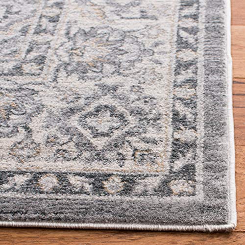 SAFAVIEH Isabella Collection 8' x 10' Grey / Light Grey ISA921F Oriental Non-Shedding Living Room Bedroom Dining Home Office Area Rug