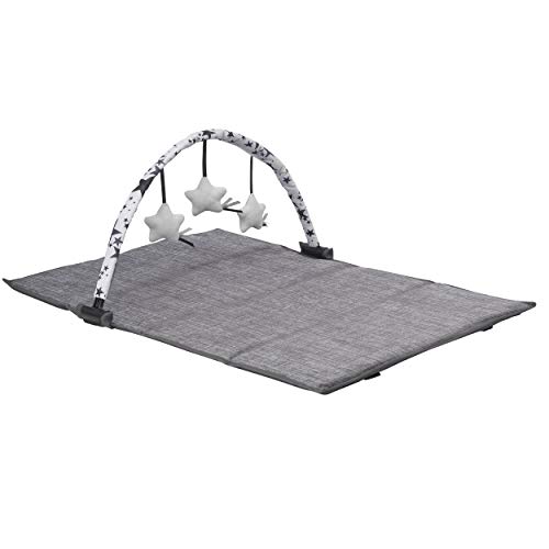 Evenflo Portable BabySuite DLX Playard, Pop Star
