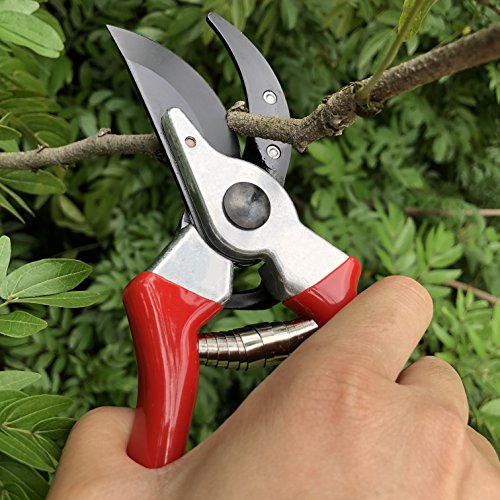 gonicc 8" Professional Sharp Bypass Pruning Shears (GPPS-1002), Tree Trimmers Secateurs,Hand Pruner, Garden Shears,Clippers For The Garden, Bonsai Cutters, Loppers