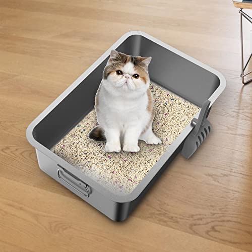Milageto Rabbit Cat Litter Container Holder Stainless Steel with Scoop Rust Resistant Accessories Smooth Surface Simple to Clean Anti Splashing Durable, 50x35x10cm