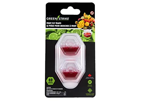 GREENSTRIKE 2-PACK Premium Fruit Fly Traps For Indoors | 2 Pre-Filled Lures Effectively Trap Flies Indoors | Easy Effective and Safe to Use | Food-Based Lure/Bait Catcher | Red