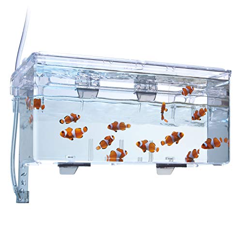 Fluval Multi-Chamber Holding and Breeding Box, Large β Up To 3 Separate Housing Compartments