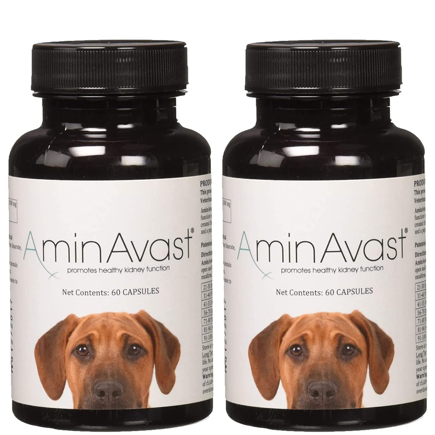 AminAvast Kidney Support Supplement for Dogs, 1000mg 2-Pack - Promotes Natural Kidney Function - Aids in Health and Vitality of Aging Kidneys - Easily Administered - 60 Sprinkle Capsules
