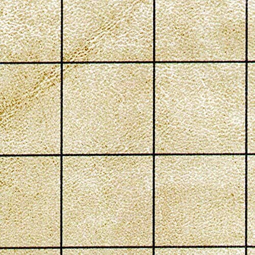Chessex Role Playing Play Mat: Battlemat Double-Sided Reversible Mat for RPGs and Miniature Figure Games (26 in x 23 1/2 in) Squares/Hexes