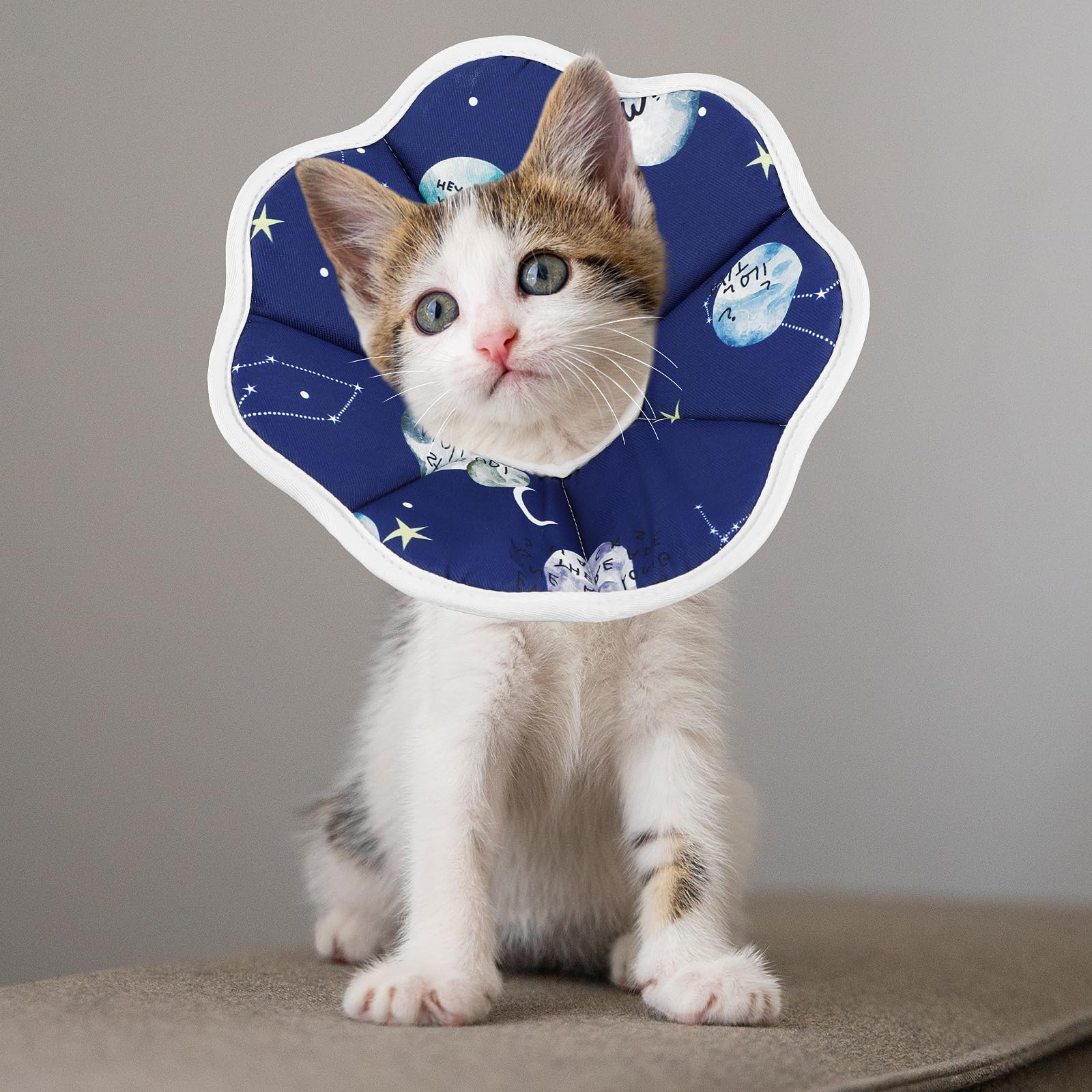 TIESOME Small Cat Cone Collars, Adjustable Kitten Recovery Cone Collar After Surgery Fasteners Collars for Small Cats Protective Cat Recovery E-Collar, 6.3-9inch Neck Diameter(S Size, Constellation)