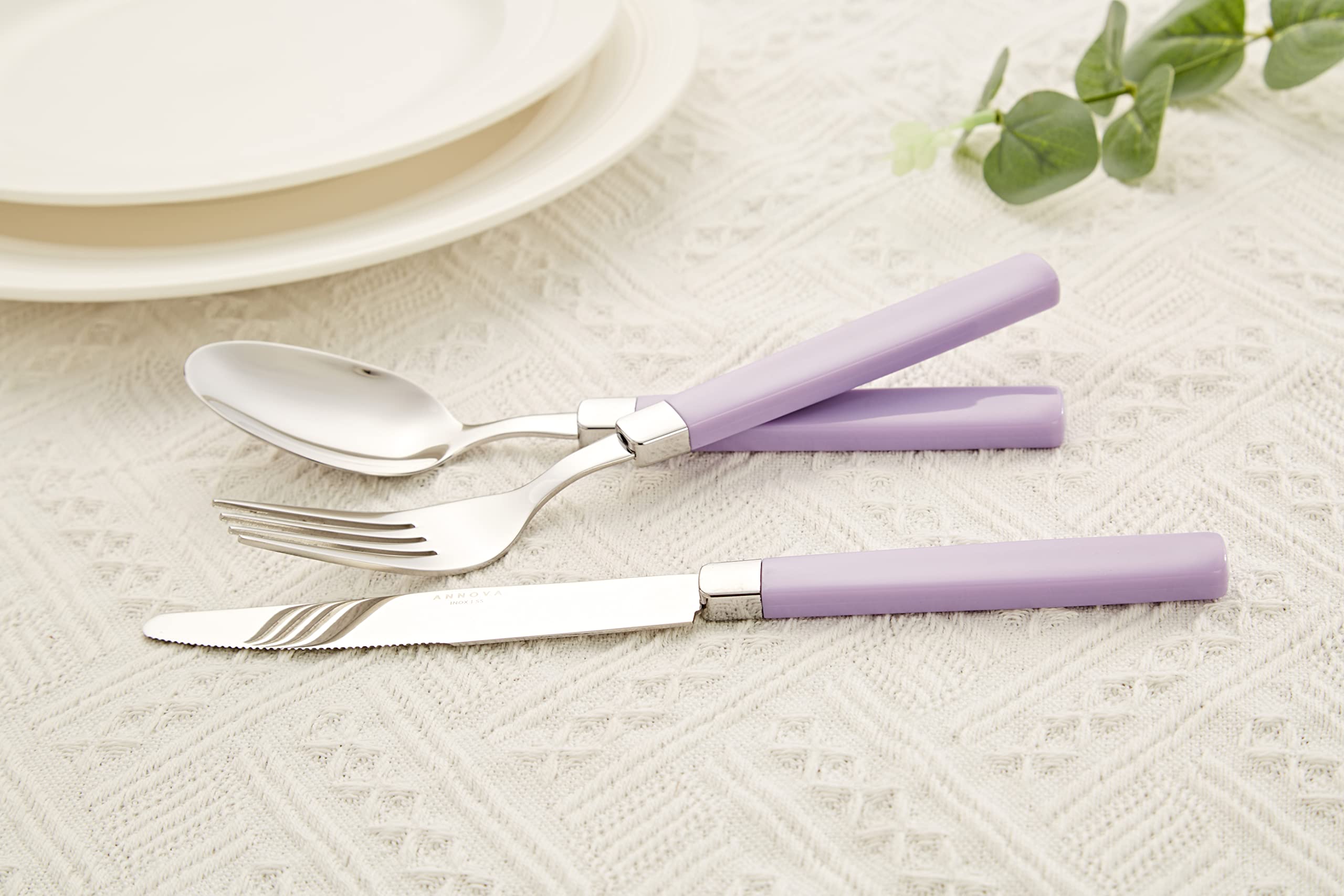 ANNOVA 20 Pieces Stainless Steel Flatware/Cutlery Set - Color Handles - 4 x Dinner Forks, 4 x Salad Forks, 4 x Dinner Knives, 4 x Dinner Spoons, 4 x Dessert Spoons - Service for 4 (Lilac, 20 Pieces)