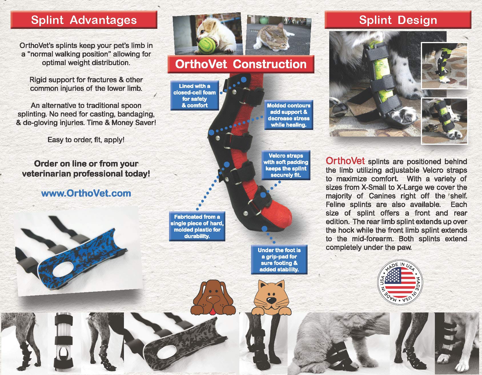 OrthoVet Standard Rear Splint for Dogs and Cats with Arthritis or Injuries (XXS)