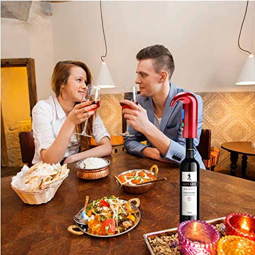 Electric Wine Aerator Portable Smart Wine Decanter and Dispenser Elegant Red with Wine Opener and Air Stopper Set