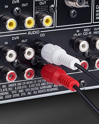 Fosmon 2-RCA Male to 2-RCA Male (6 FT), Dual 2 RCA Cable, Stereo Audio 2RCA Cord Male to Male Connector