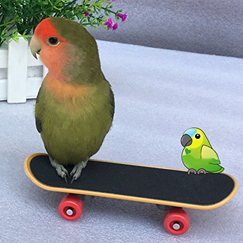 Shuohu Durable Mini Skateboard Parrot Bird Cage Toy Chew Training Ornaments Xmas Gifts for Pets Yellow