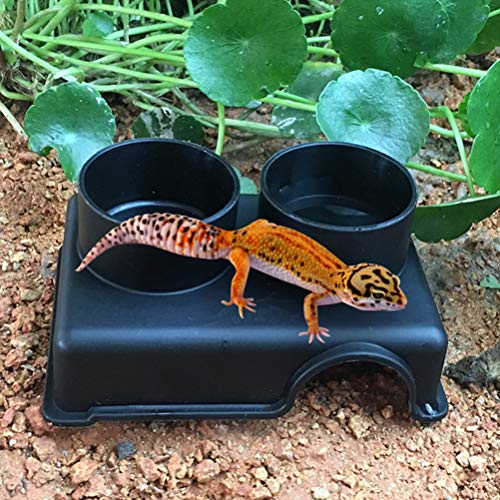 POPETPOP Panda Bear Stuffed Animal Reptile Hideaway,3-in-1 Reptile Hide with Water and Food Bowls-Reptile Dish Plastic for Snake Spider Lizard Scorpion Observation Box Stuffed Animals