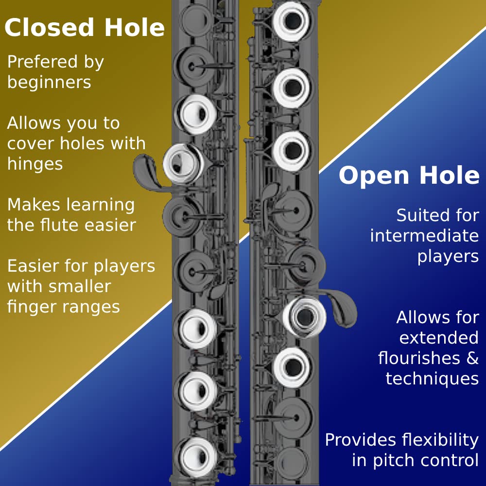 Cecilio Closed Hole C Flute - Musical Instrument, Kids Beginner/Intermediate Flute in Band & Orchestra, Nickel 
