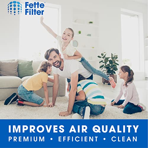 Fette Filter - HRFSC1 Activated Carbon Filter Compatible with Honeywell Filter S HRFSC1 for Honeywell HPA3000 PowerPlus and HPA5000 Insight Series Air Purifier - Pack of 1