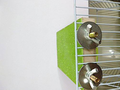 Hypeety Colorful Bird Perch Stand Platform for Parrot Macaw African Greys Budgies Parakeet Cockatiels Natural Wood Paw Grinding Clean Cage Toy (Random Color)(B)
