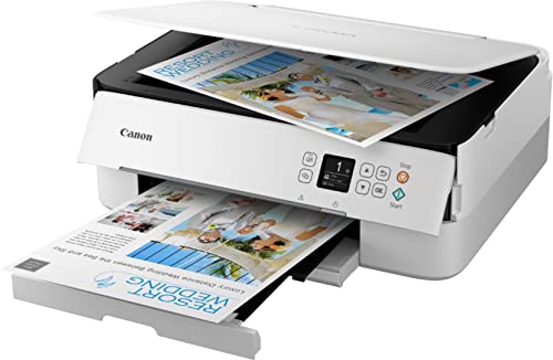 Canon Wireless Pixma Inkjet All in One Printer with Scanner - High Resolution Fast Speed Printing Compact Size Up to 4800x1200 DPI Color Resolution, Bonus Set of NeeGo Ink and 6 Ft Printer Cable