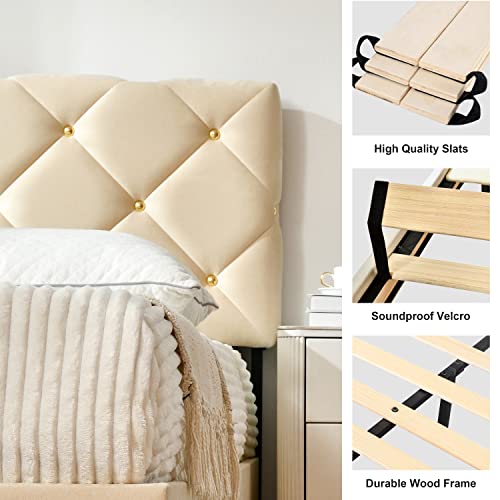 AsKmore Queen Size Bed Frame,Velvet Upholstered Platform with Headboard and Strong Wooden Slats,Non-Slip and Noise-Free,No Box Spring Needed, Easy Assembly,Beige