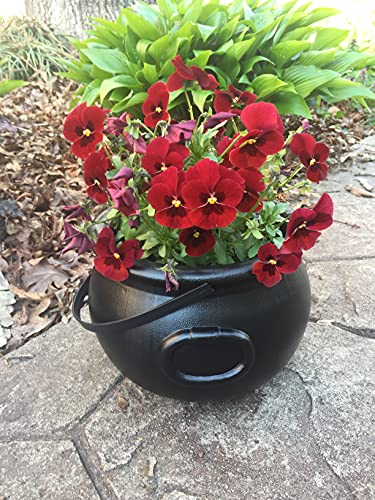Black Plastic Planter, Antique, Cast Iron Looking Cauldron Kettle Flower Pot 8" with Handle, Early American Style