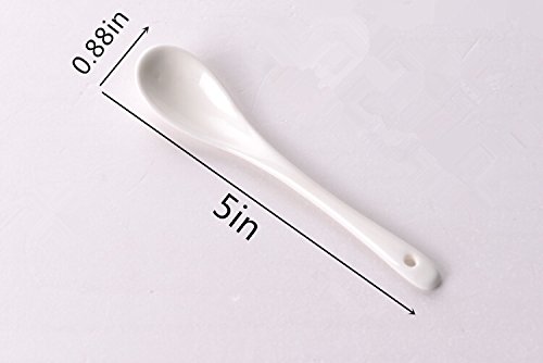 AWHOME White Porcelain Spoons Coffee, Tea, Yogurt and Ice-cream, Cutlery Fitting Ceramic Spoons 5 Inch Set of 10
