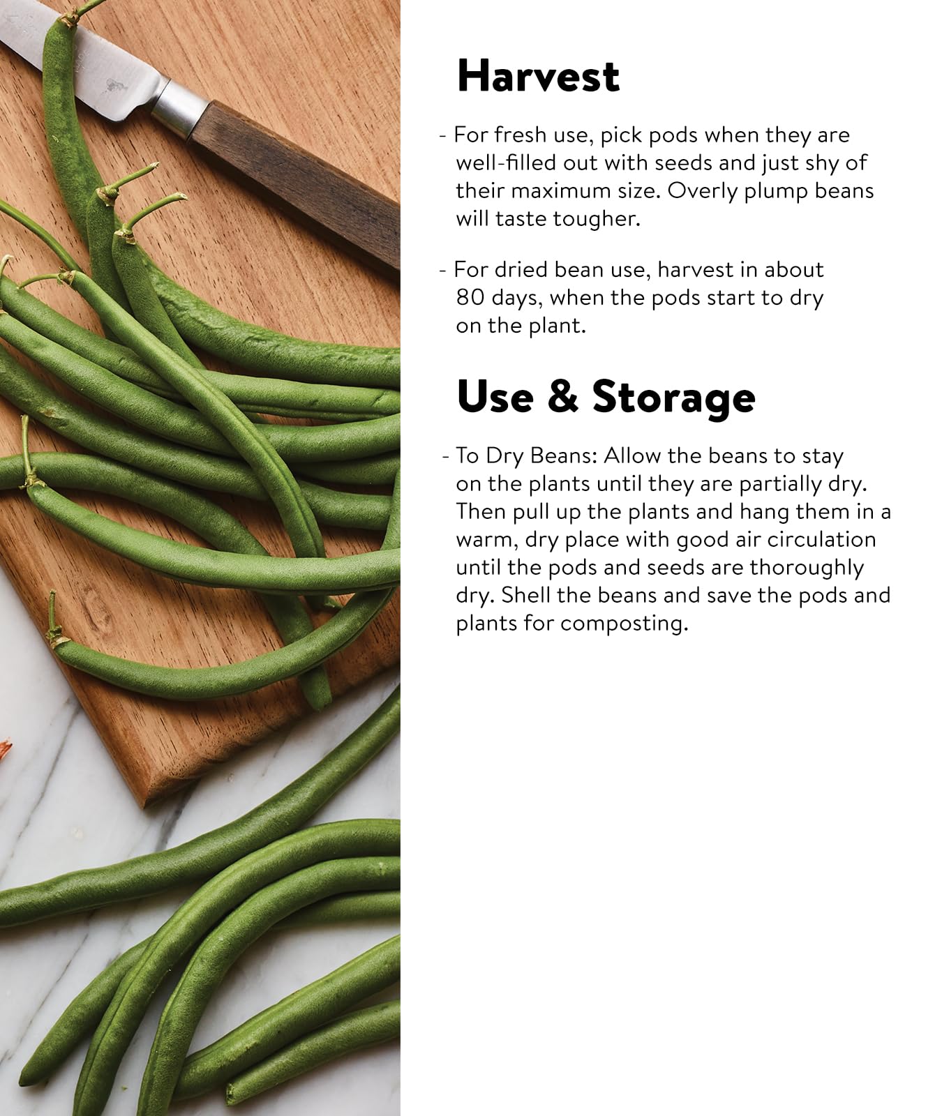 Burpee Yardlong Asparagus Pole Bean Seeds 1 ounces of seed
