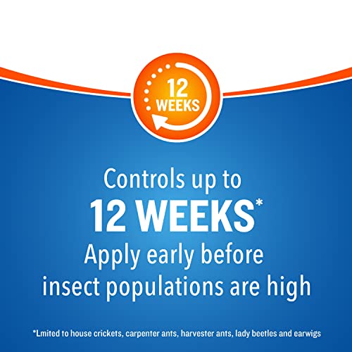 Cutter Backyard Bug Control Spray Concentrate (6 Pack), Kills Mosquitoes, Fleas & Listed Ants, 32 fl Ounce