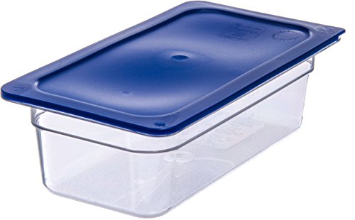 Carlisle FoodService Products Plastic Food Pan 1/3 Size 4 Inches Deep Clear