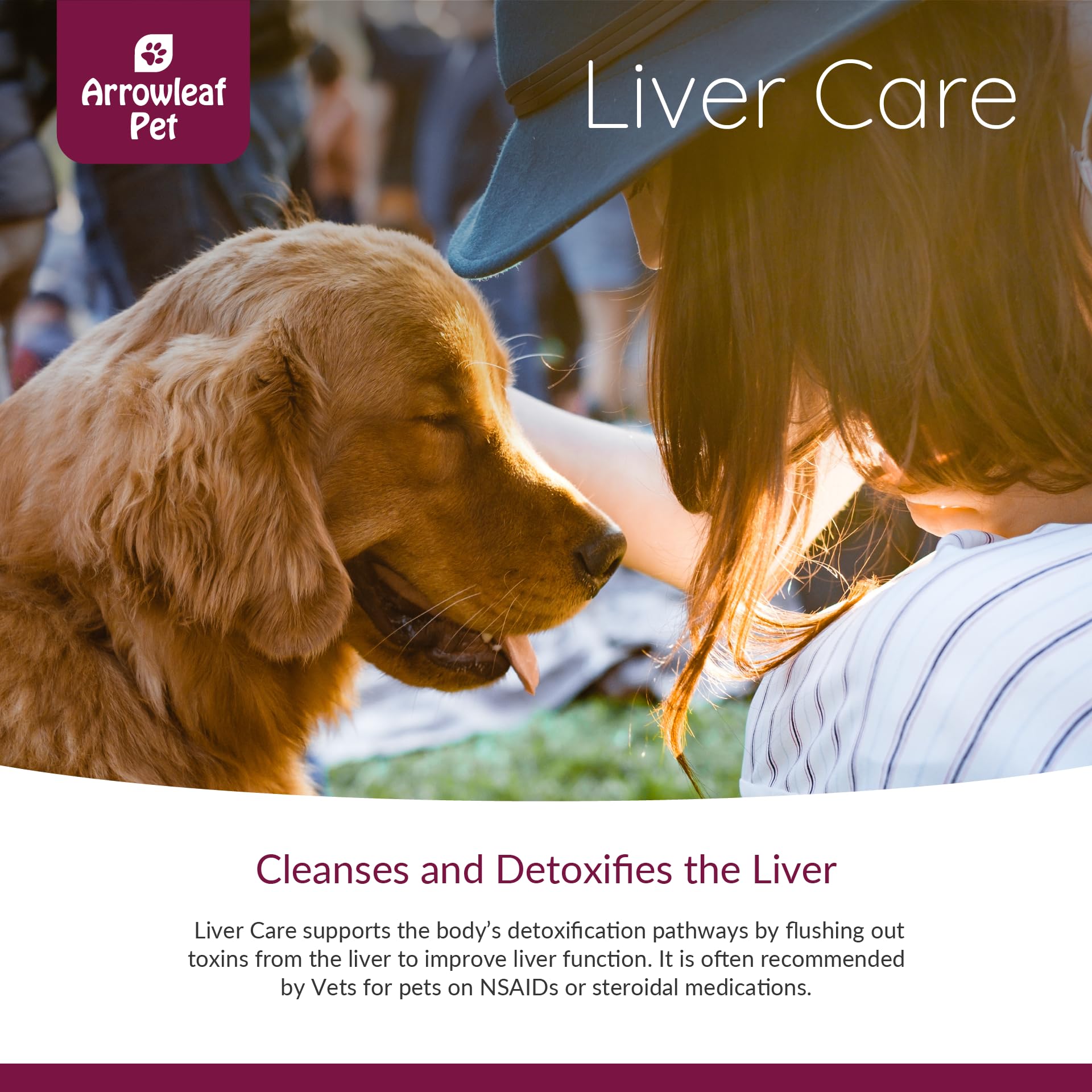 Arrowleaf Pet Liver Care by NaturPet Inc for Cats and Dogs | with Milk Thistle | Supports Body's Detoxification Processes | 100mL Herbal Tincture