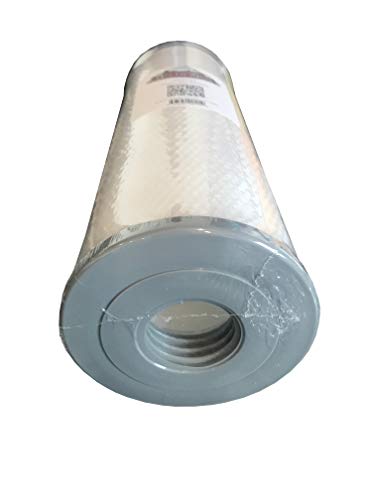 Arctic Spa Silver Sentinel Threaded Filter - 2009-current Models