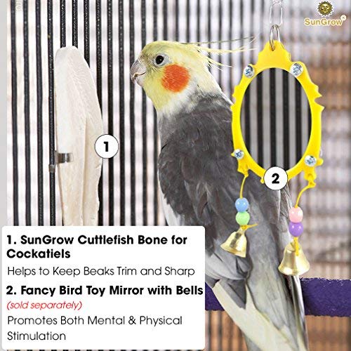 SunGrow 2 Pack Cuttlefish Bones, 6 inch, Made with Real Cuttle Fish, Calcium Source for Parakeets, Turtles, Dog, Chicken, Pleco, Snails, and Shrimps