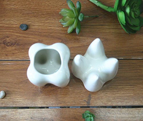 MONMOB Ceramic Tooth Shaped Pen Pencil Toothbrush Holder Pot Succulent Plant Pot Home Office School Dentists Gift (3.9")
