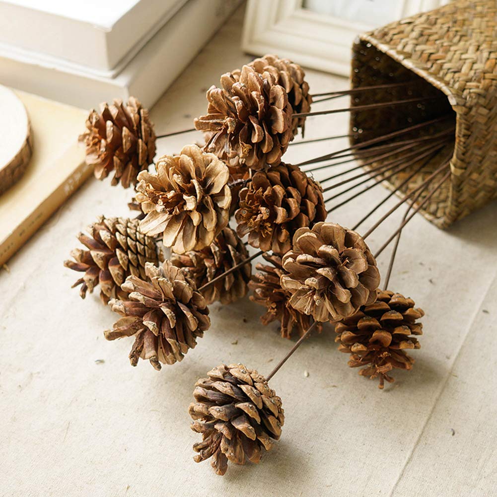 JOHOUSE Natural Pine Cones, Christmas Rustic Pinecones Fall Garland Halloween Thanksgiving Decorations, Christmas Tree Fall Ornaments,18 PCS