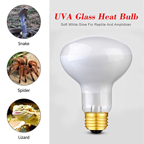 Reptile Heat Lamp Bulb 100W, Daylight Bulb for Reptile ,Basking Spot Heating Light UVA Glass Heat Bulb Soft White Bulb for Bearded Dragon Lizard Turtle -2 Pack