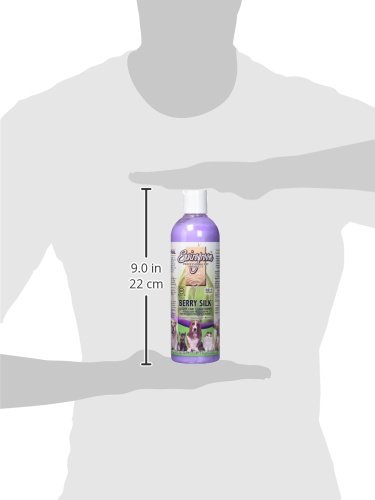 Envirogroom Berry Silk Conditioner 17 oz