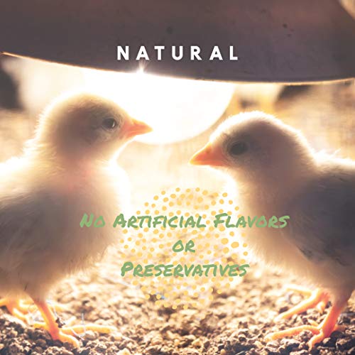 Manna Pro Chick Grit | Digestive Supplement for Young Poultry and Bantam Breed | Probiotics to Support Digestion | No Artificial Ingredients or Preservatives | Insoluble Crushed Granite | 5 Pounds