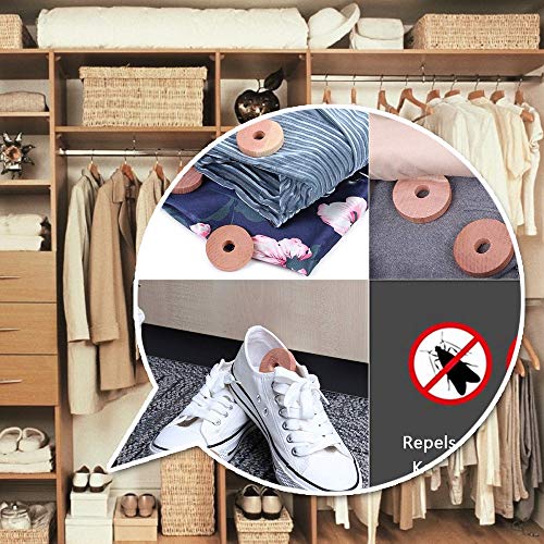 Cedar Space Cedar Blocks for Clothes Storage 100% Natural Aromatic Red Cedar Rings 72Pcs Protection for Wardrobes Closets and Drawers