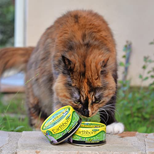 Earthborn Holistic Chicken Catcciatori Grain-Free Moist Cat Food 3 Ounce (Pack of 24)